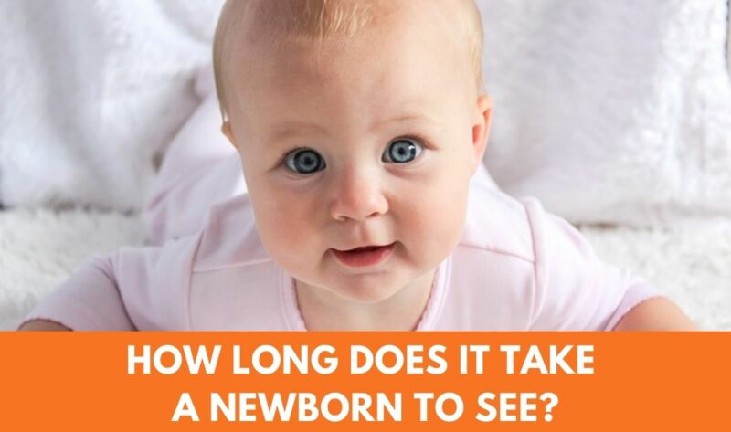 How Long Does it Take a Newborn to See Clearly? – Babiesmata